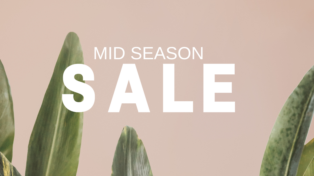 Altoria - Shop the Latest Women's Fashion